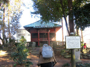 奥州道ウォーク④ 白沢から氏家: VIVA★HAMBO