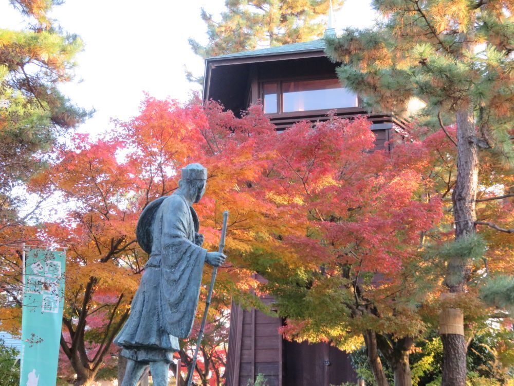 草加松原の晩秋の色: VIVA★HAMBO