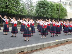 ふささら祭り: VIVA★HAMBO